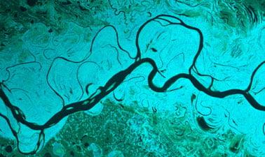 Synthetic Aperture Radar: Ecosystems (edX) | MOOC List